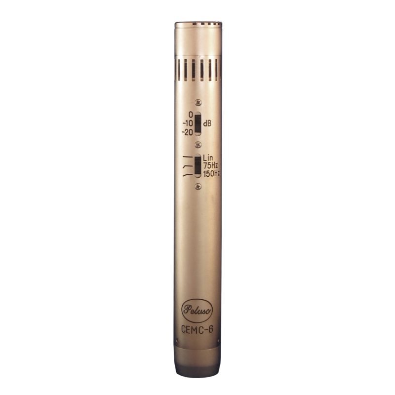 Neumann KU 100 Dummy Head Stereo Microphone – Sonic Circus